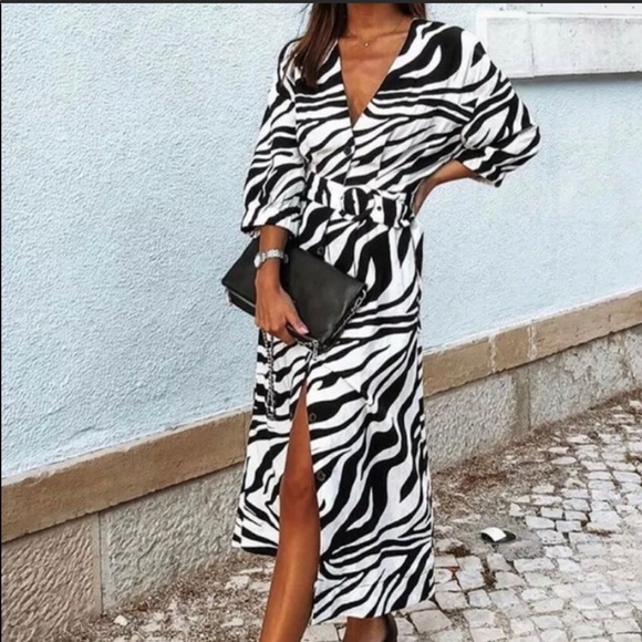 Zara | Dresses | Zara Zebra Animal Print Dress | Poshmark